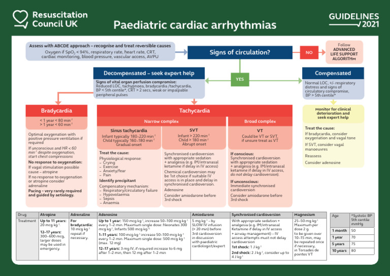 Paediatric Advanced Life Support Guidelines | PDF | Cardiology ...