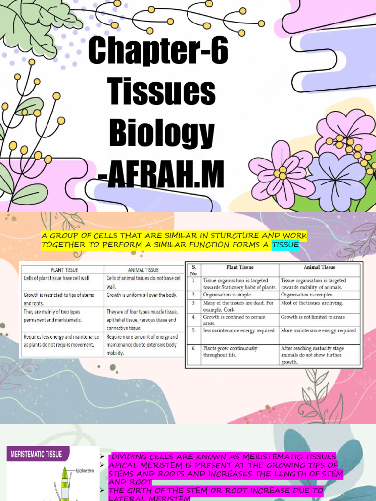 Ch6 Tissues Bio Afrah | PDF | Tissue (Biology) | Human Body