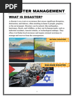 Evs Disaster Management | PDF | Natural Disasters | Emergency Management
