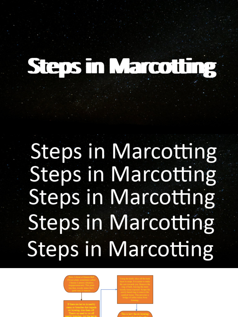 Marcotting - Kevin Lance D. Permitez | PDF