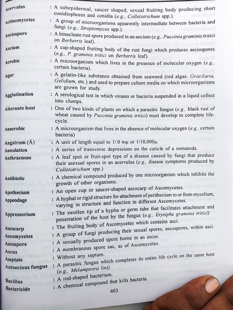 Pathology Vocabulary | PDF