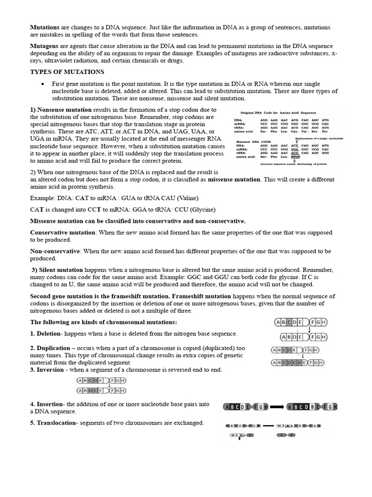 Mutations Hand Outs | PDF | Point Mutation | Mutation