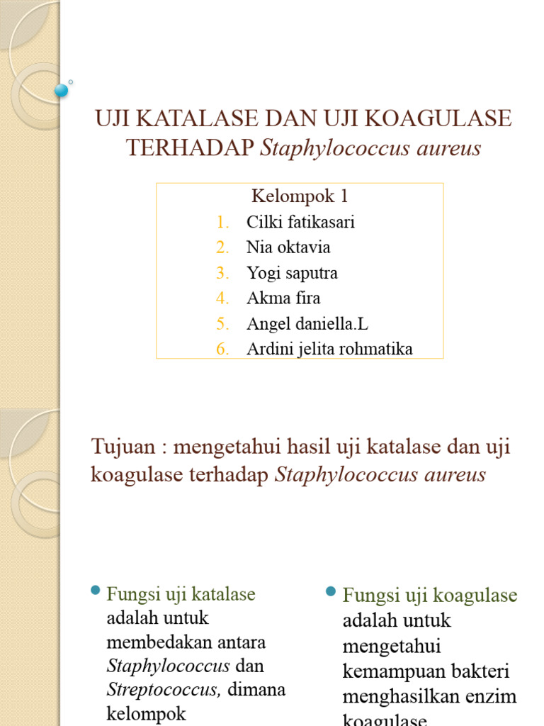 Uji Katalase Dan Uji Koagulase Terhadap Staphylococcus Aureus | PDF