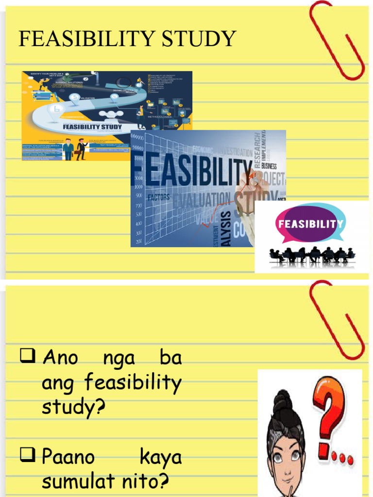 Feasibility Study | PDF