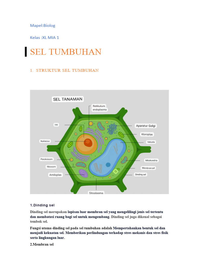 Struktur dan Fungsi Sel Tumbuhan | PDF