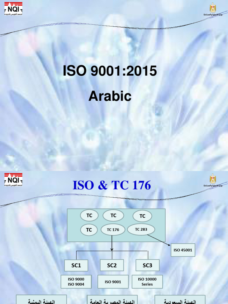 Iso 9001 2015 أيزو الجودة | PDF