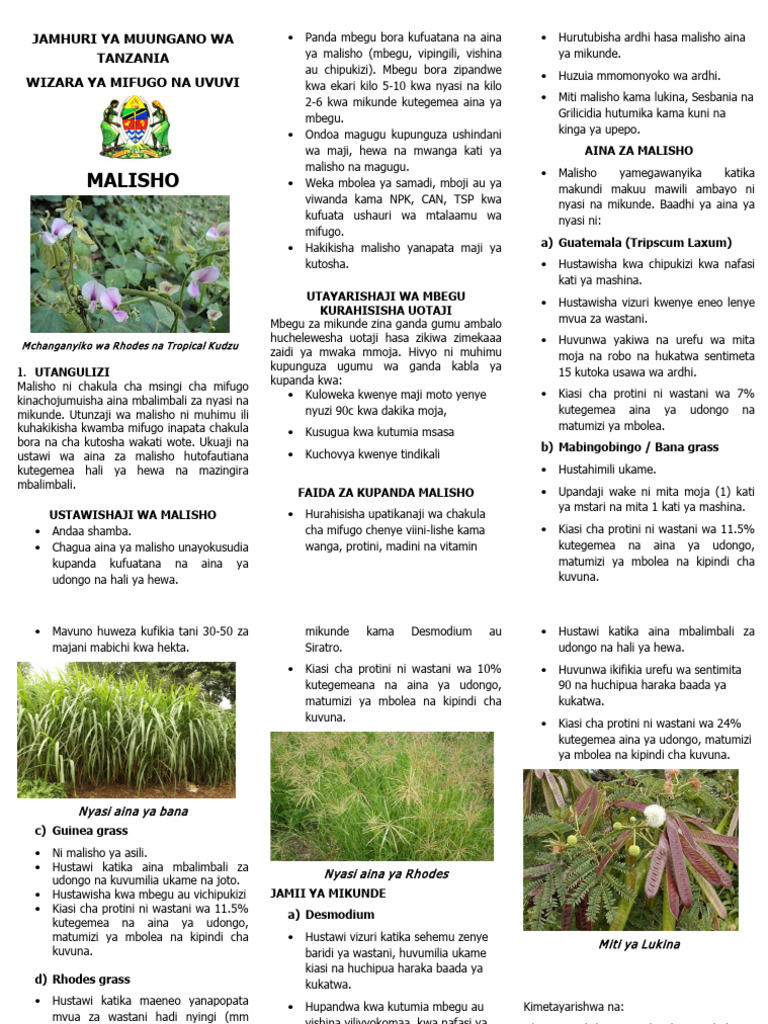 Sw1595834811-Kipeperushi Cha Malisho - Mifugo | PDF
