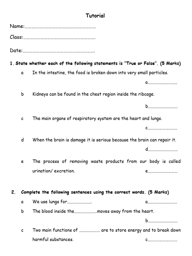 Third Tutorial | PDF | Kidney | Vein