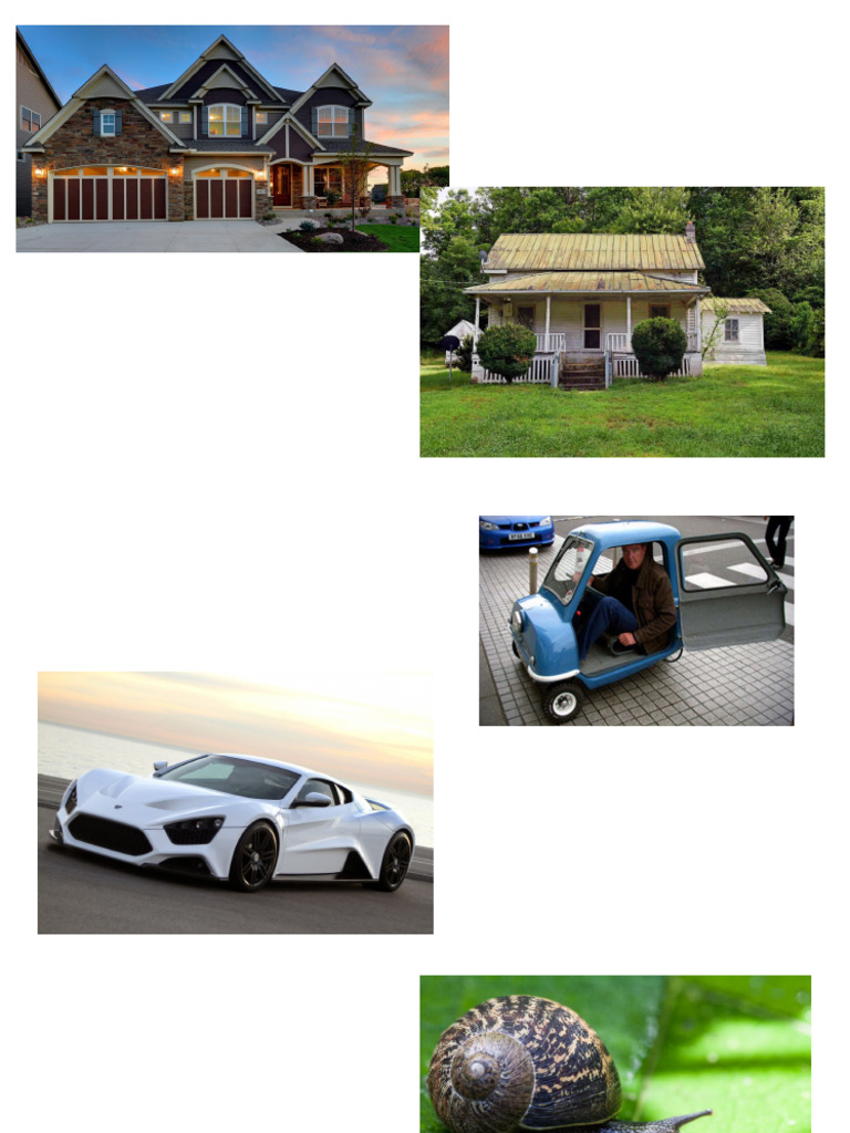 Comparative Pics | PDF