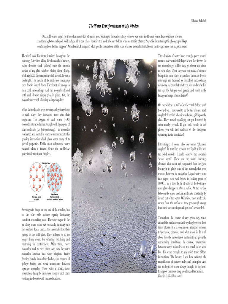Water Transformations on My Window | PDF | Water | Liquids