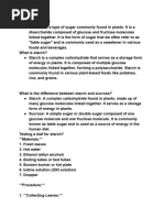 Destarching The Leaf | PDF | Photosynthesis | Leaf