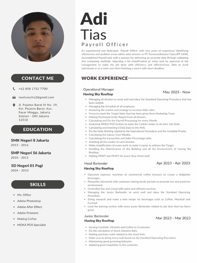 Professional CV - Adi Tias | PDF