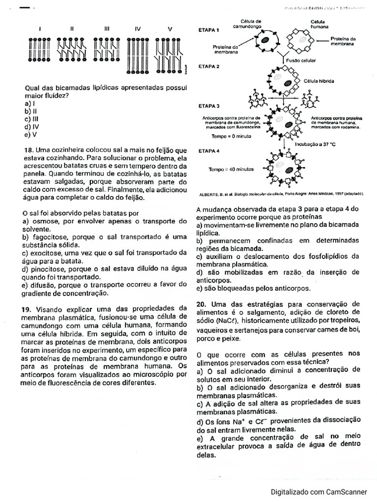 Exercícios Bioquímica e Biocel | PDF
