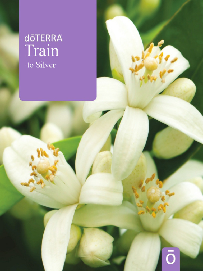 Chinese Final Print Ready SIlver Club Success | PDF