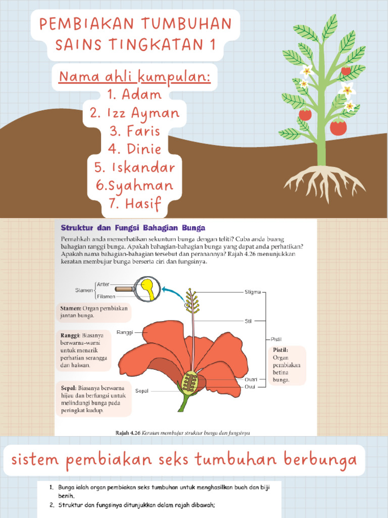 Plants and Their Systems Science Presentation in Light Brown Light Blue ...