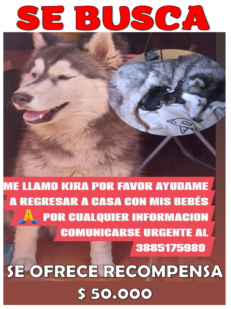 Se Busca | PDF