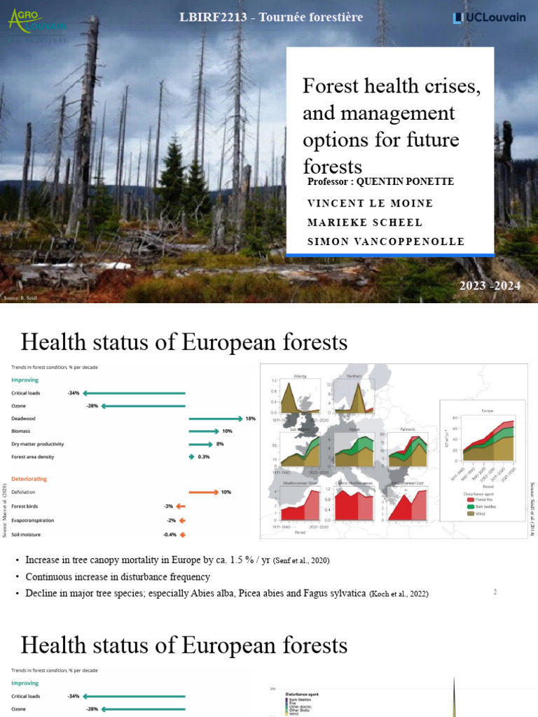 LBIRF2213 - Forest Health Crisis | PDF | Forests | Logging