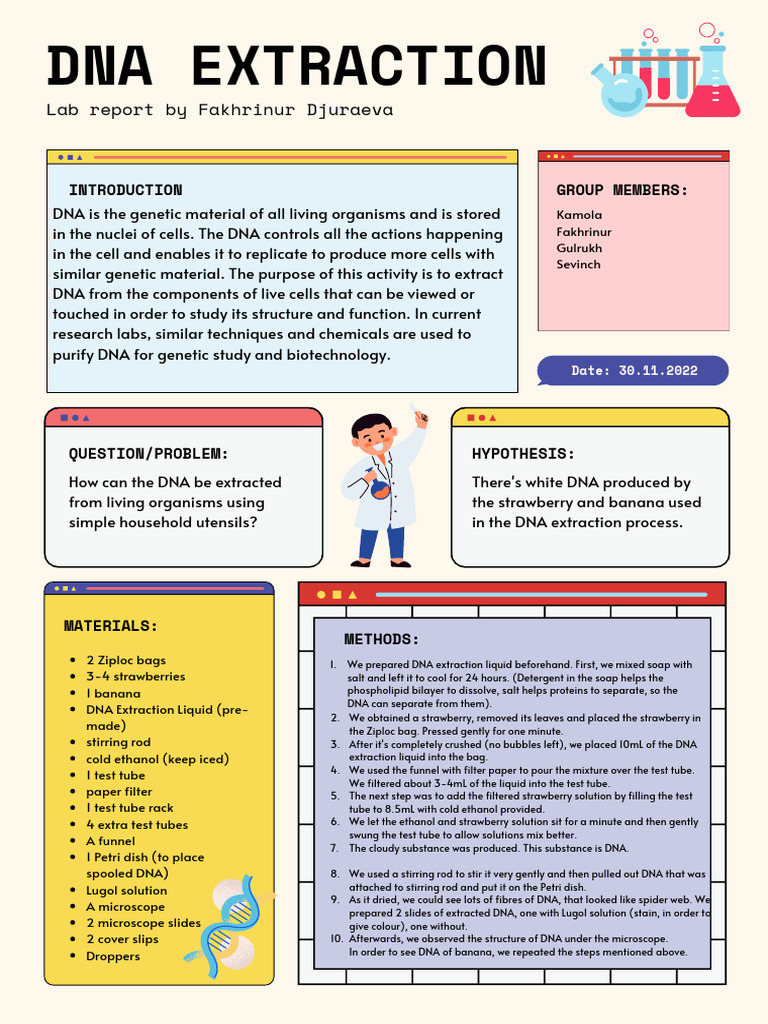 DNA Extraction Lab Report | PDF | Dna | Cell (Biology)