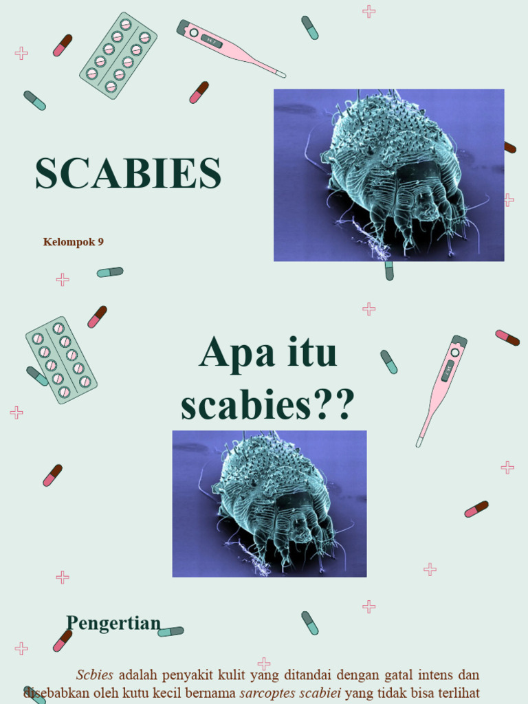 Sap KLP 9 Scabies | PDF | Sains & Matematika