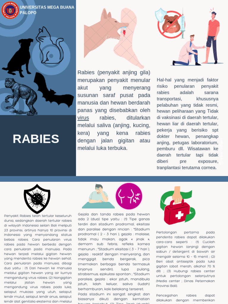 Pencegahan dan Gejala Rabies | PDF