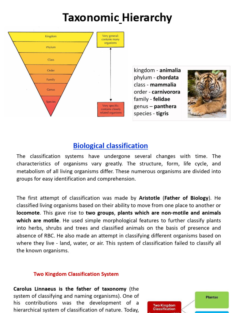 Module - 2 - Biological Classification | PDF | Taxonomy (Biology) | Fungus