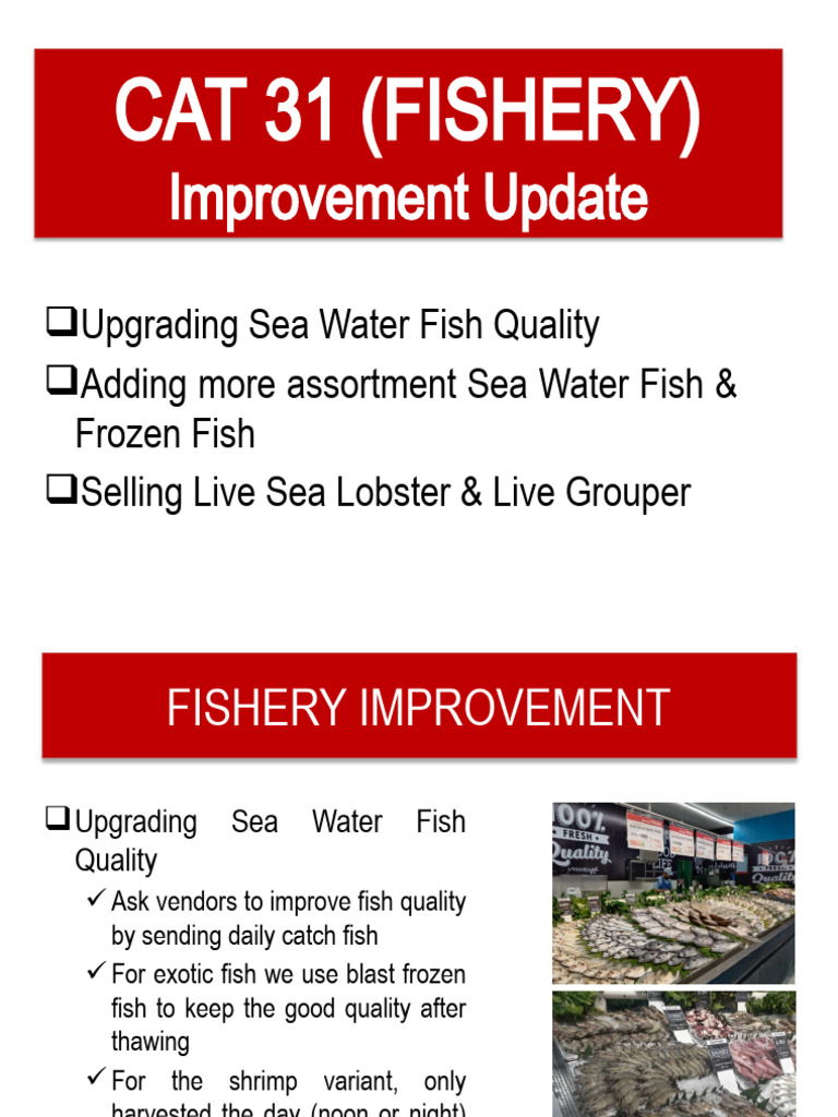 Fishery Improvement - Update | PDF | Fishing Industry | Fish And Humans
