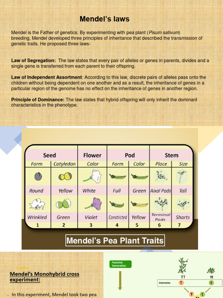 Module3genetics Pdf Dominance Genetics Biological Evolution 4697