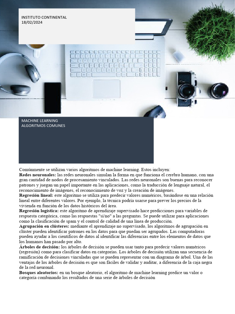 Idl2 1 | PDF | Aprendizaje automático | Red neuronal artificial