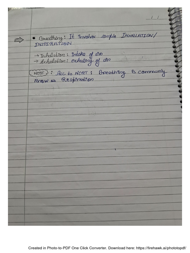 Breathing and Exchange of Gases Best Notes | PDF