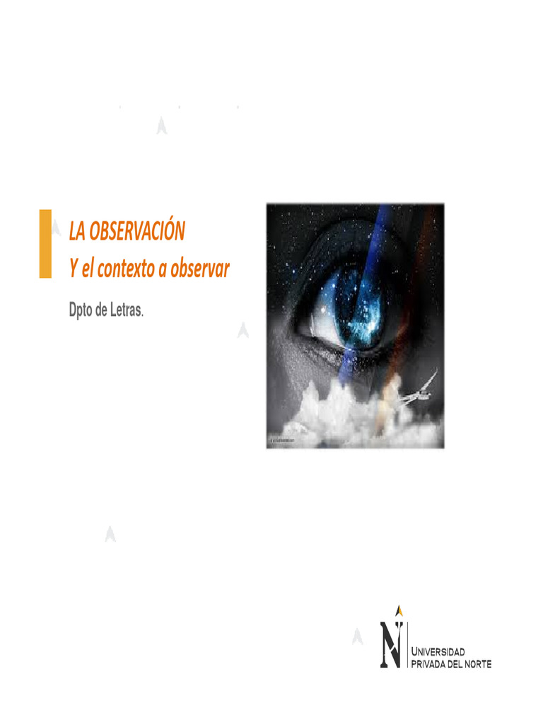 Observación y Matriz de Viabilidad | PDF