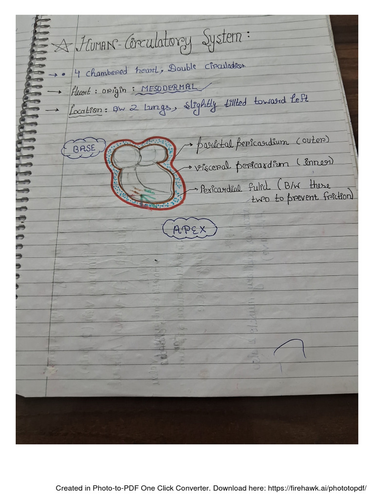 Human Circulatory System Best Notes | PDF | Business | Computers