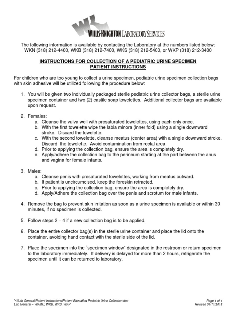 collection-of-a-pediatric-urine-specimen | PDF | Mammal Reproductive ...