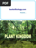 XI-Biology Ch-3 Plant Kingdom PPT-2 | PDF | Spore | Biological Processes