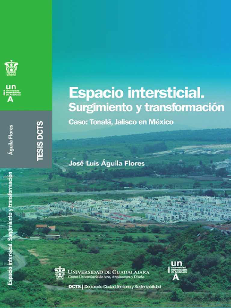 Espacio Intersticial Surgimiento y Transito | PDF