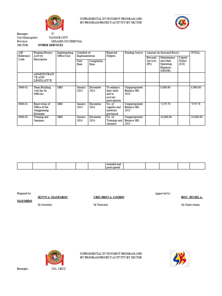 Supplemental Investment Program Overview | PDF
