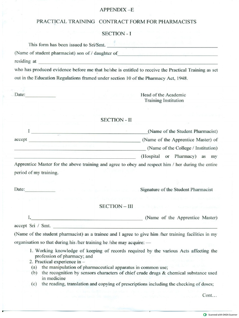 Practical Training Form - Appendix E | PDF