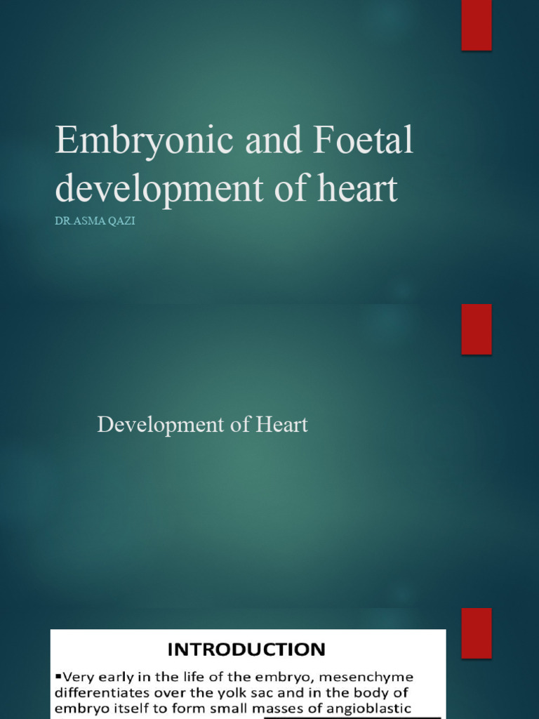 10. Embryonic development of heart | PDF | Aorta | Heart
