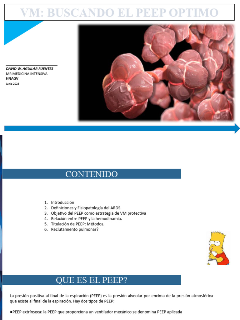 David - Buscando El Peep Optimo | PDF | Especialidades Medicas | Medicina CLINICA