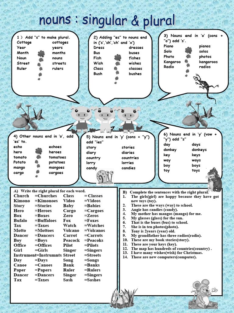 Nouns Singular and Plural Grammar Guides Picture Dictionaries 38791 ...
