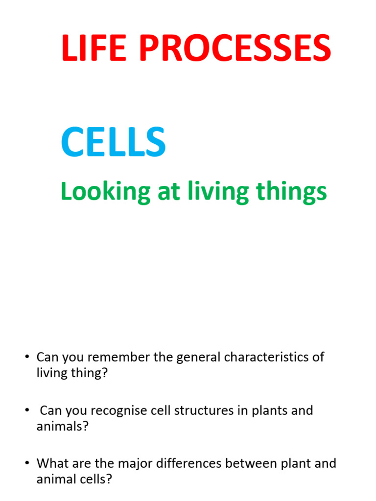 Cell Structure Life Processes | PDF | Enzyme | Cell (Biology)