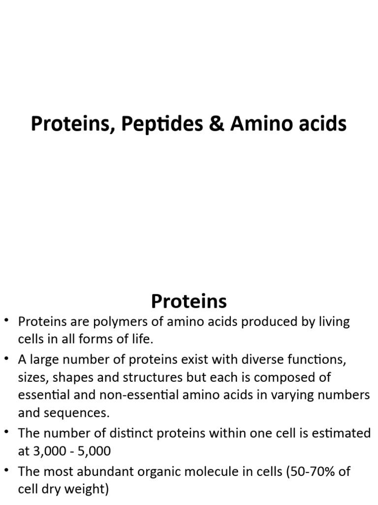 Understanding Proteins and Amino Acids | PDF | Protein Structure | Amino Acid