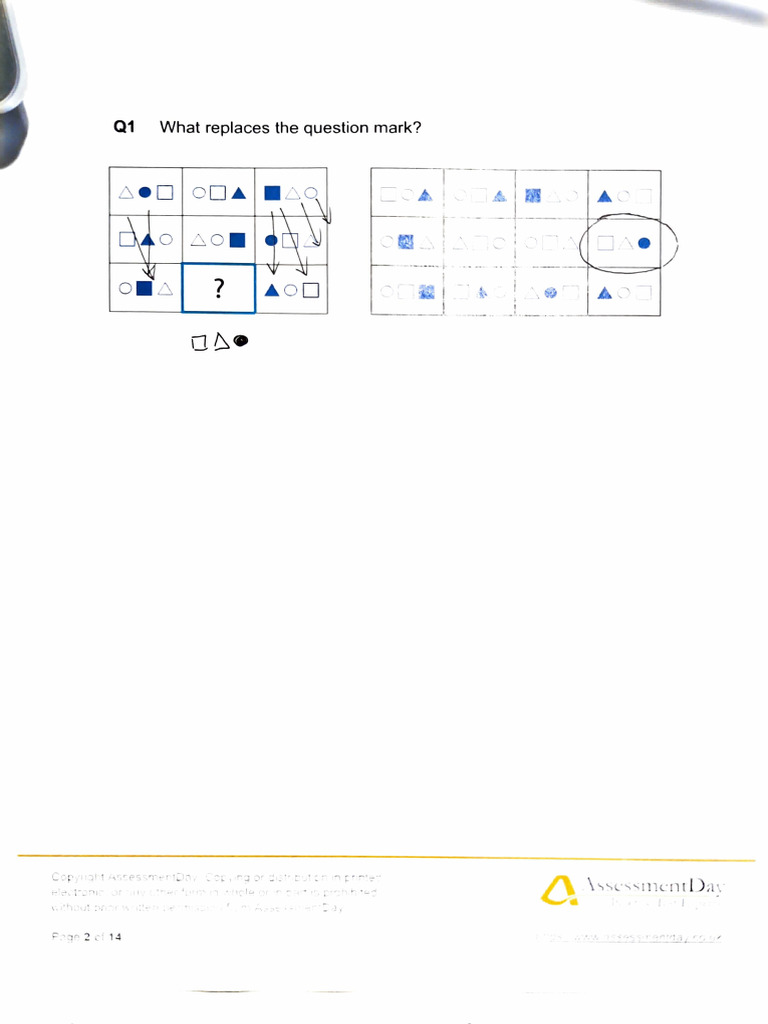 Assessment Scan | PDF