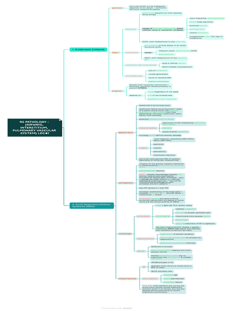patho 1 mind map | PDF | Lung | Medical Specialties
