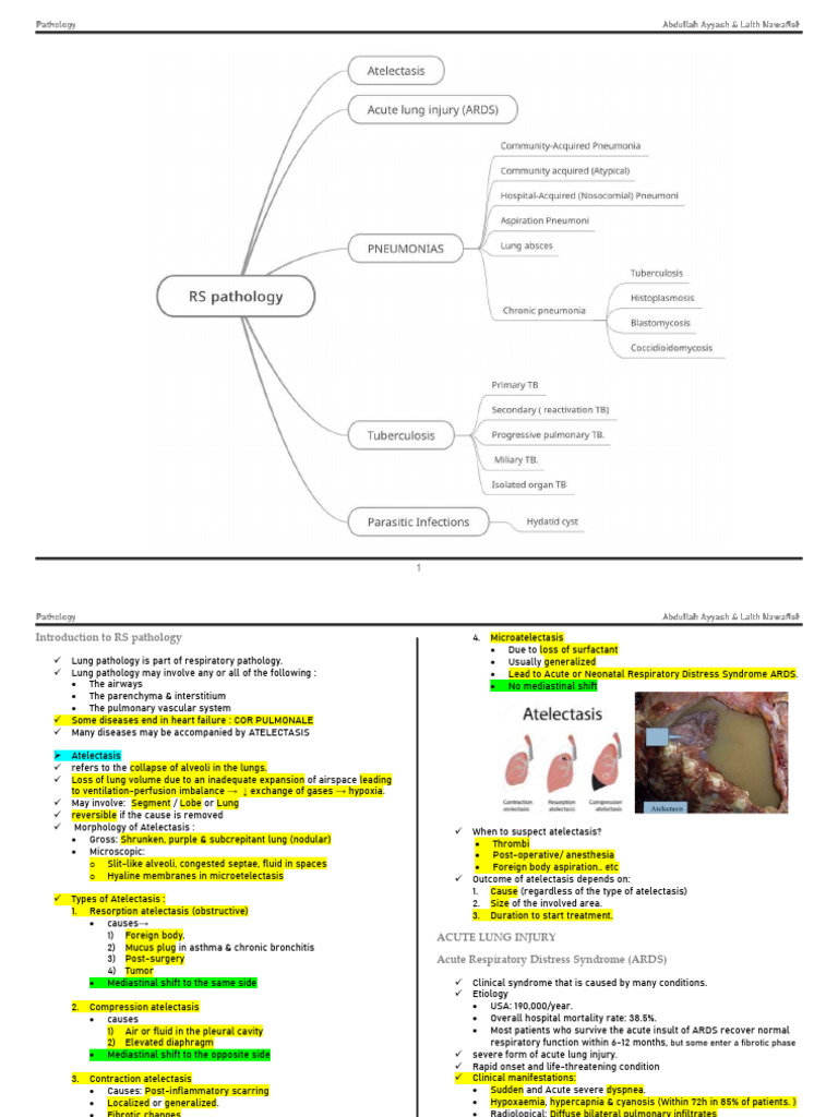 RS Pathology 1+2+3 - Laith | PDF | Pneumonia | Respiratory Diseases