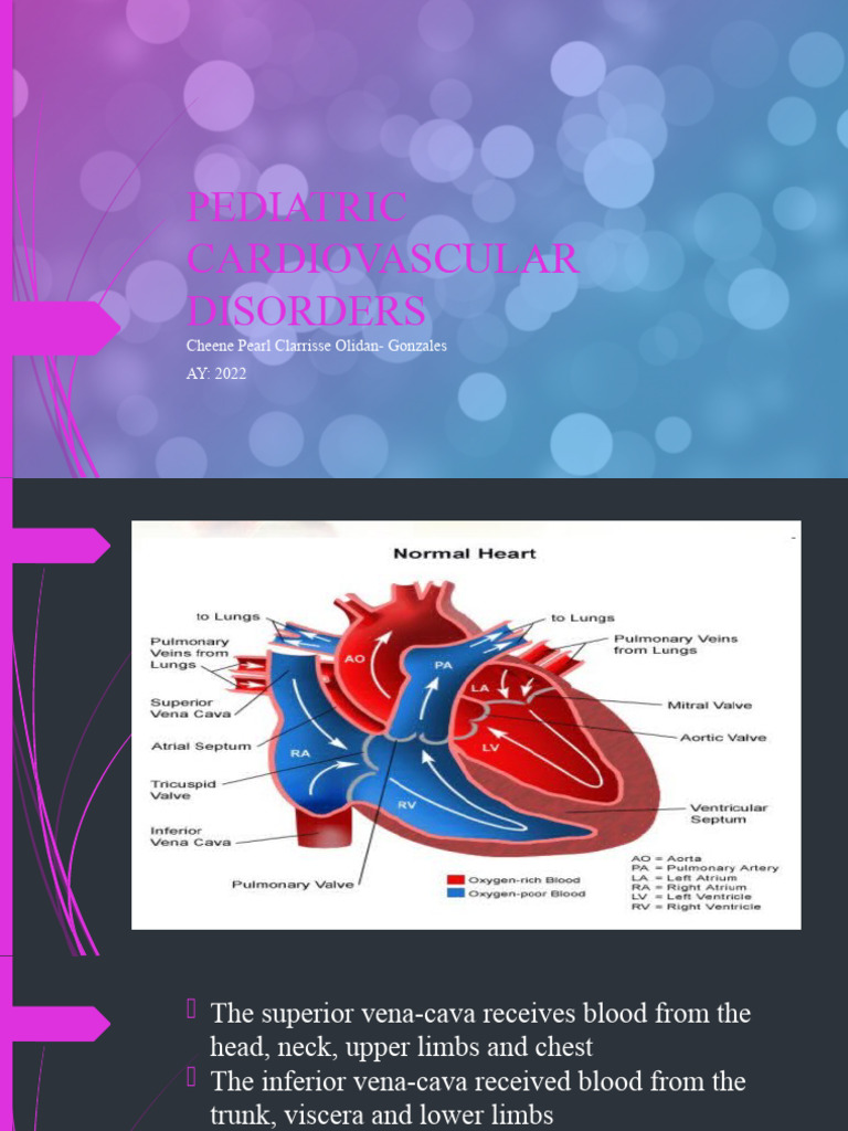 Pediatric Cardiovascular Disorders | PDF | Heart | Ventricle (Heart)
