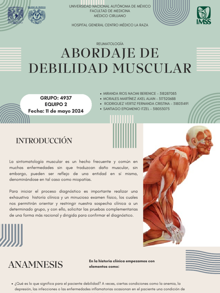 Abordaje de la Debilidad Muscular | PDF | Medicina CLINICA | Medicina