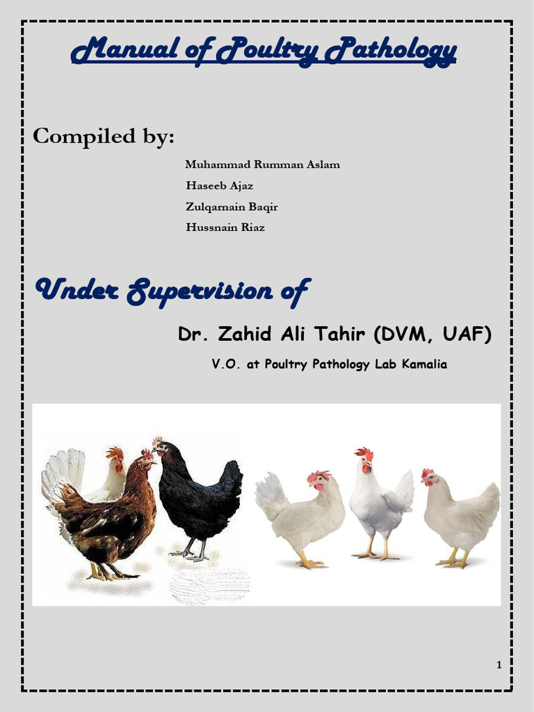 Poultry Pathology Manual Overview | PDF | Lymphatic System ...