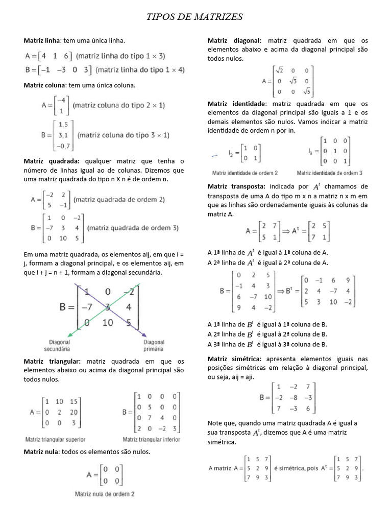 Tipos de Matrizes | PDF