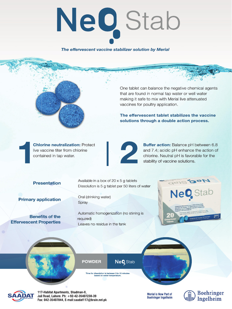 Neo Stab (New B) | PDF