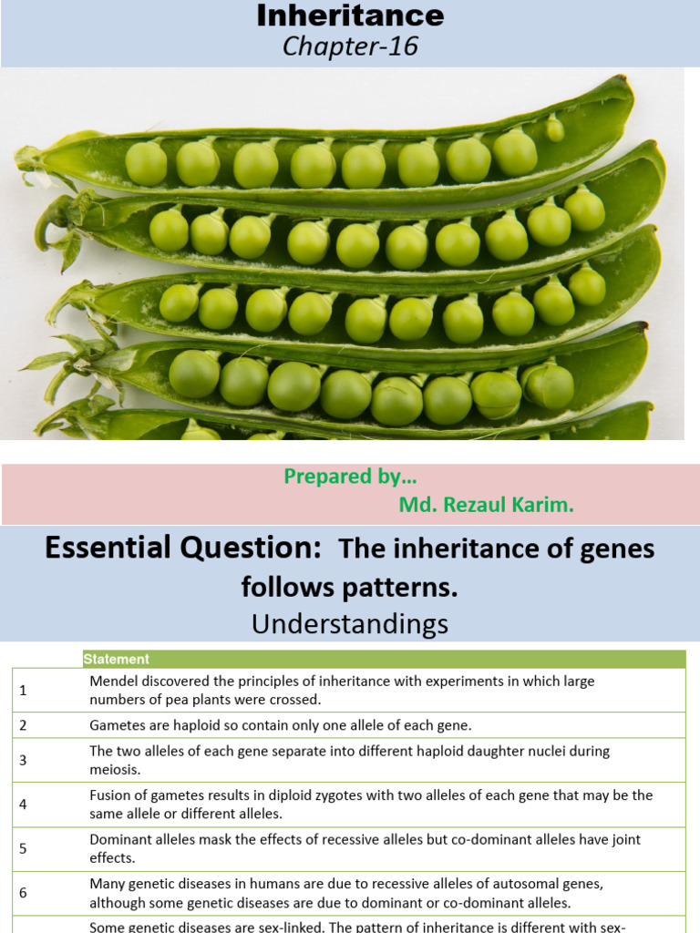 Biology Genes | PDF | Dominance (Genetics) | Genotype